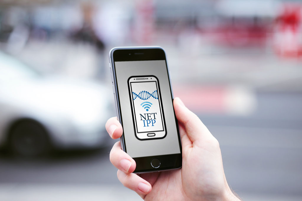 NET-IPP Studie – Stiftung Bremer Herzen